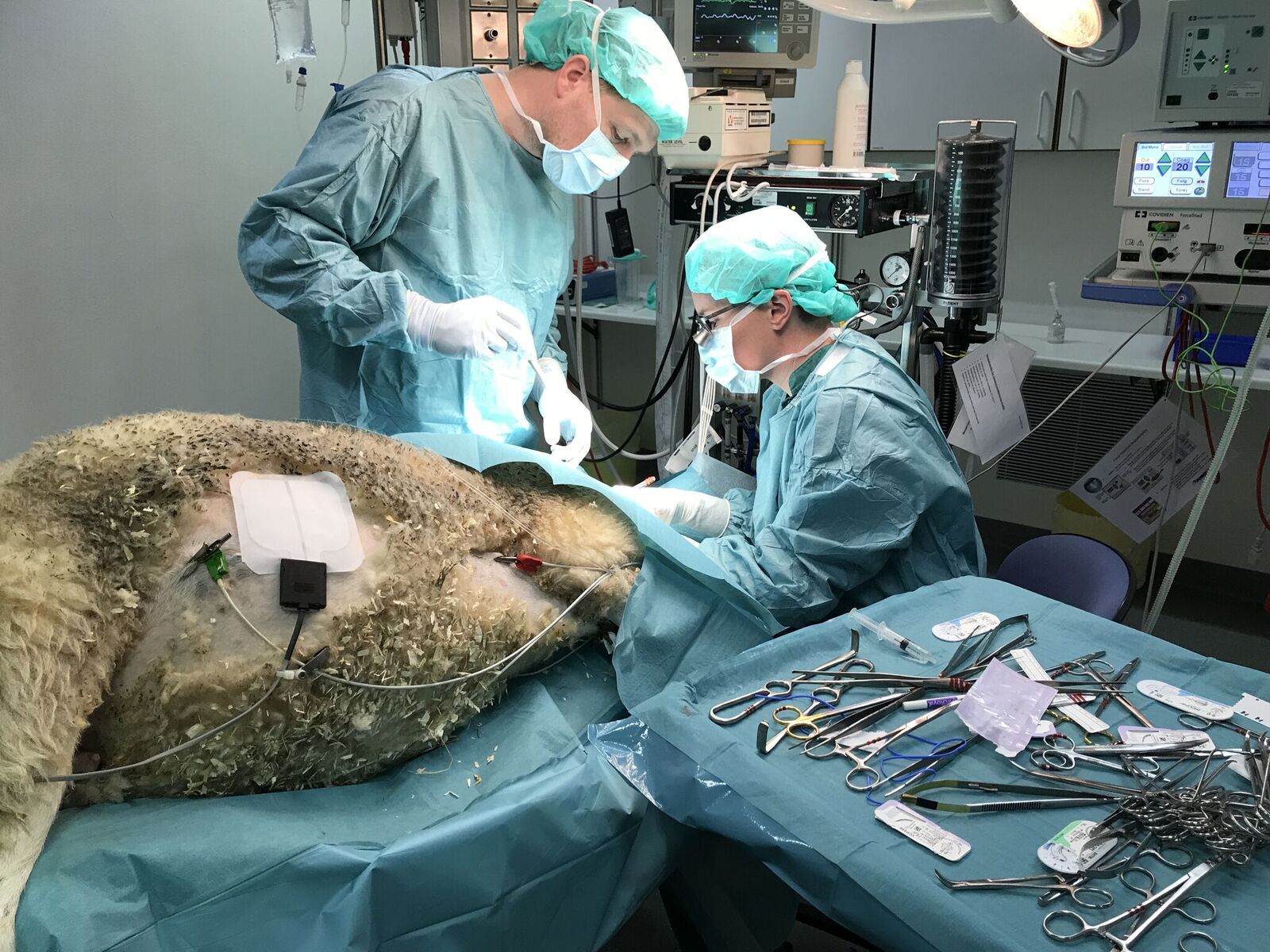 Kateter forhindrer infektioner og dødsfald | Innovationsfonden